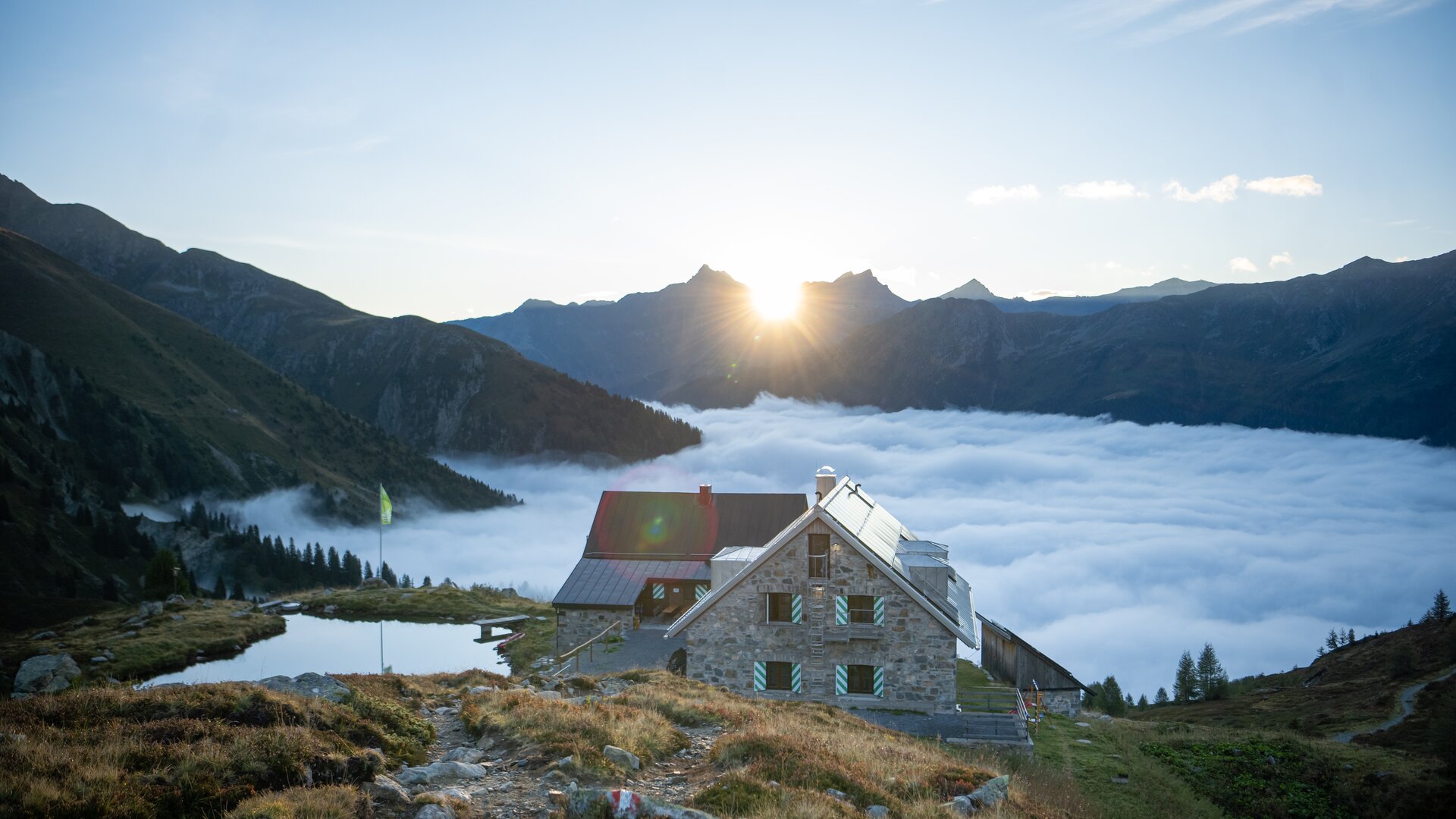 The race programme at PIUT