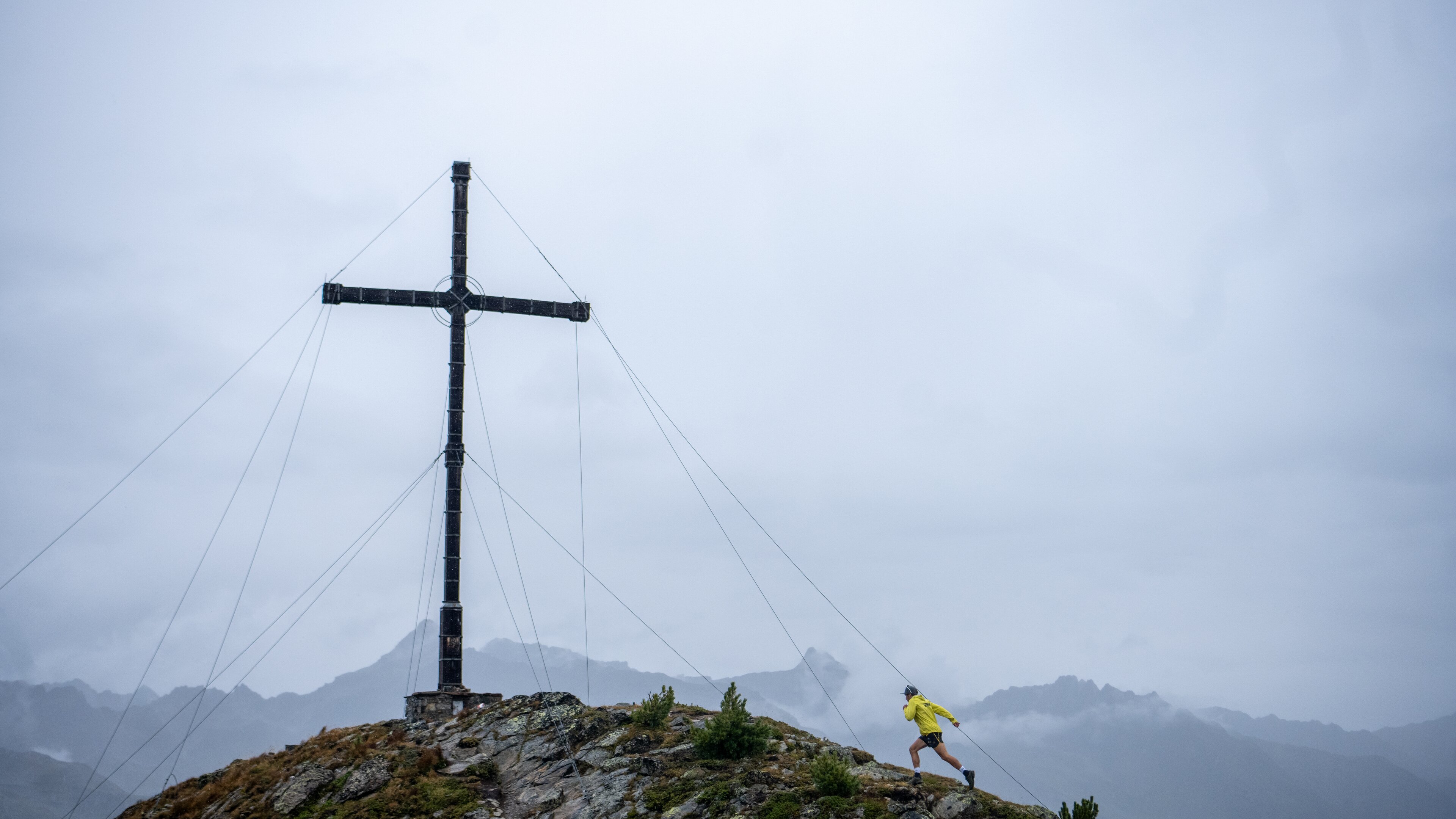 All races of the PIUT