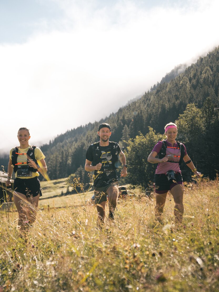 All races of the PIUT