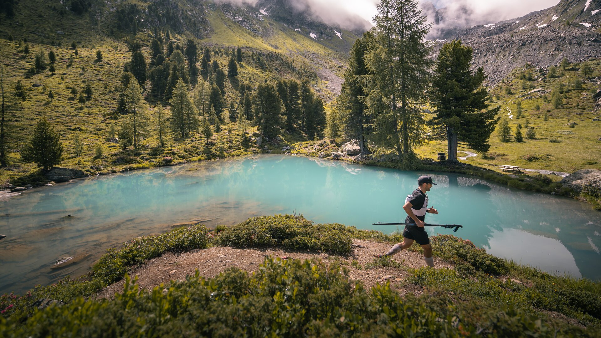 All races of the PIUT